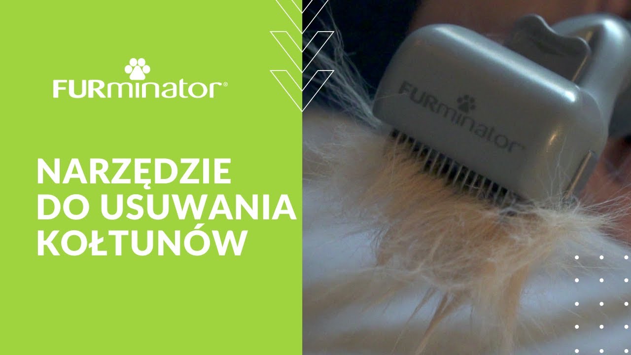 Jak usunac kołtun? - Fundacja dla kociąt osieroconych Cali Mali | Blog