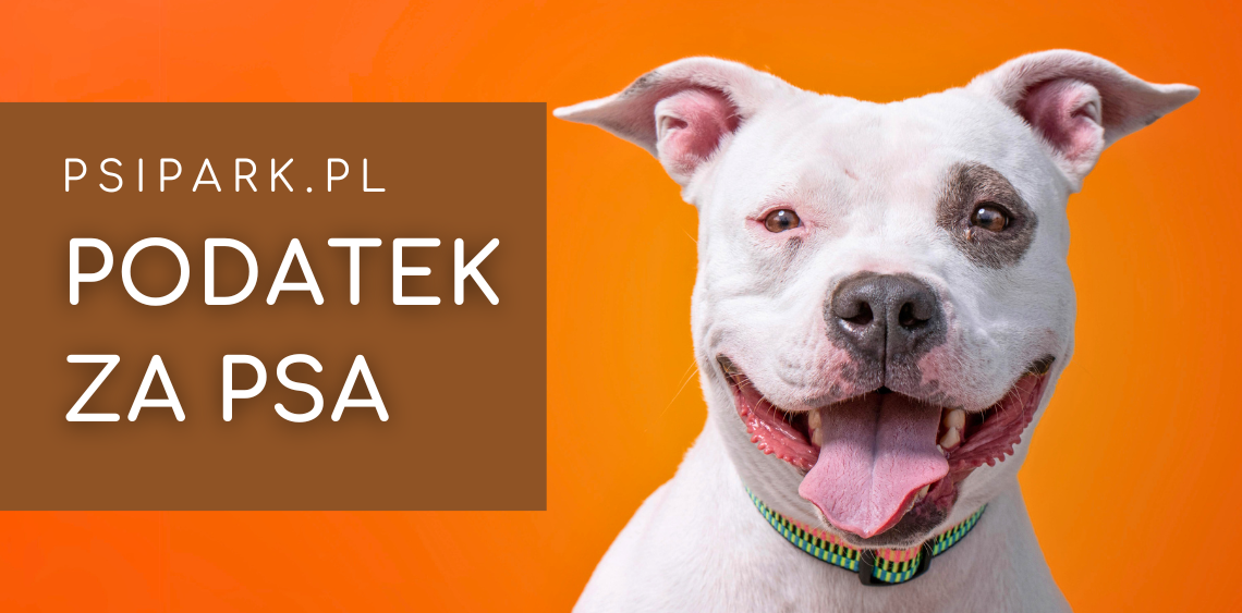 Gdzie się płaci podatek za psa? - Fundacja dla kociąt osieroconych Cali ...
