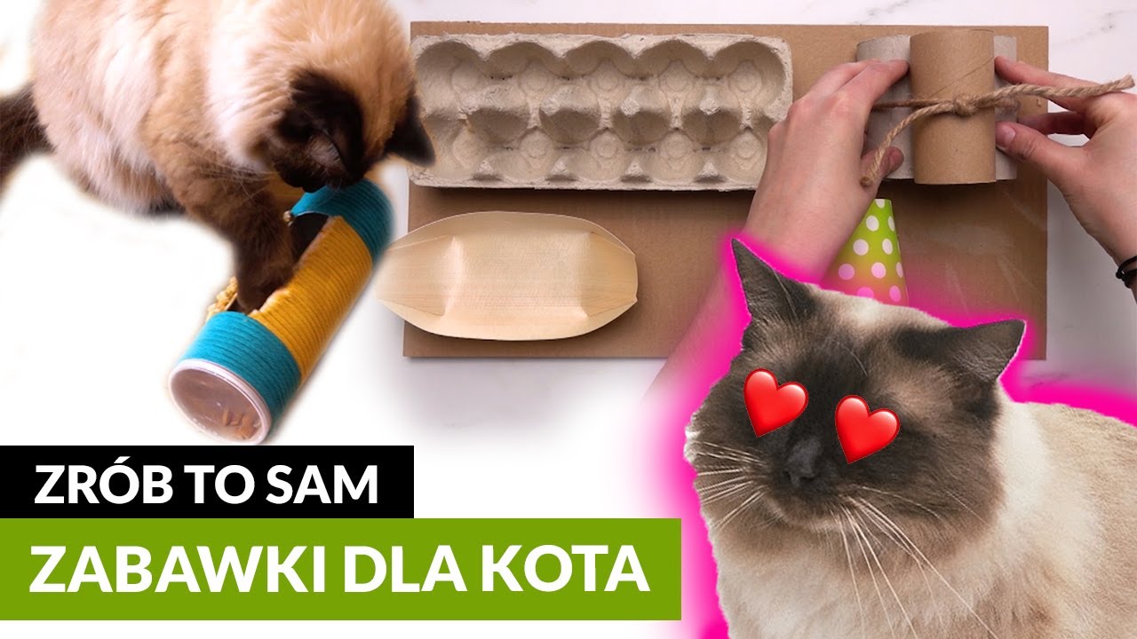 jakie-zabawki-mo-na-zrobi-dla-kota-fundacja-dla-koci-t-osieroconych