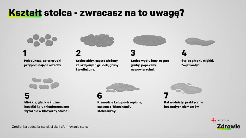 Jaki stolec przy stresie? - Fundacja dla kociąt osieroconych Cali Mali ...